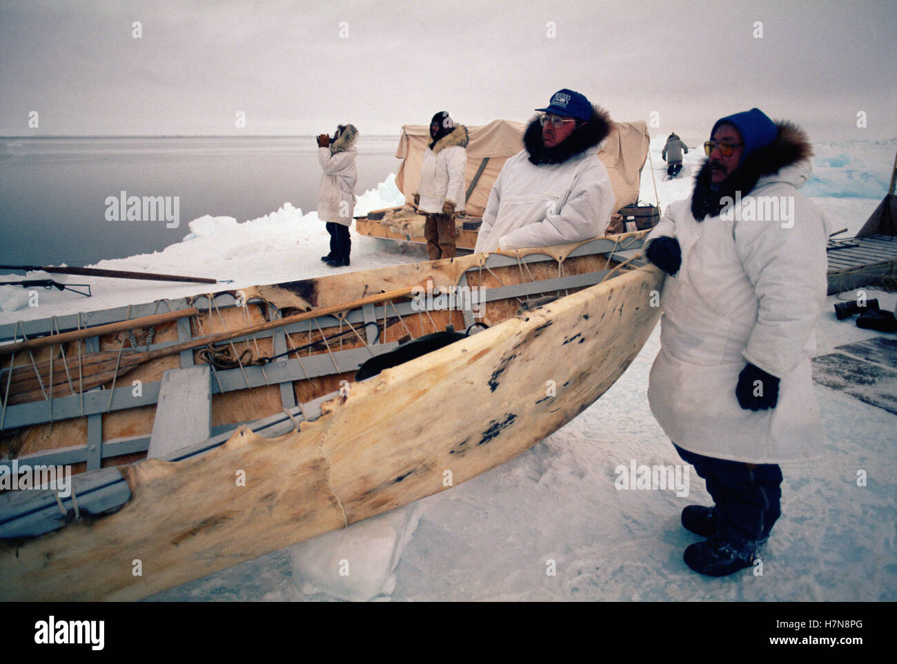 Bowhead Whale (Balaena mysticetus) hunters, Inuits in traditional ...