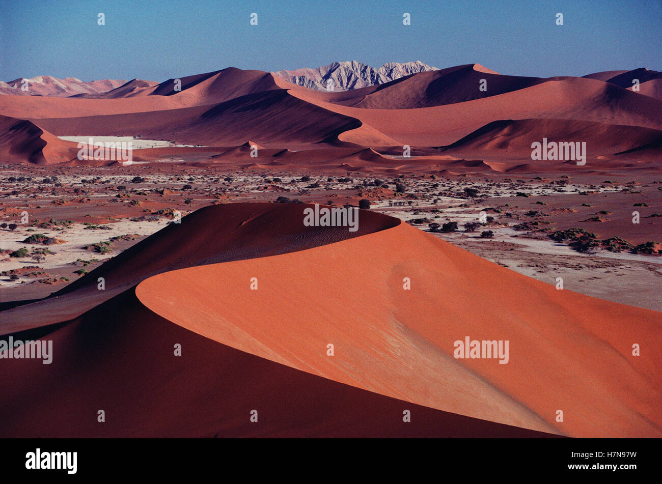 Landscape of sand dunes, Namib Desert, Namibia Stock Photo - Alamy
