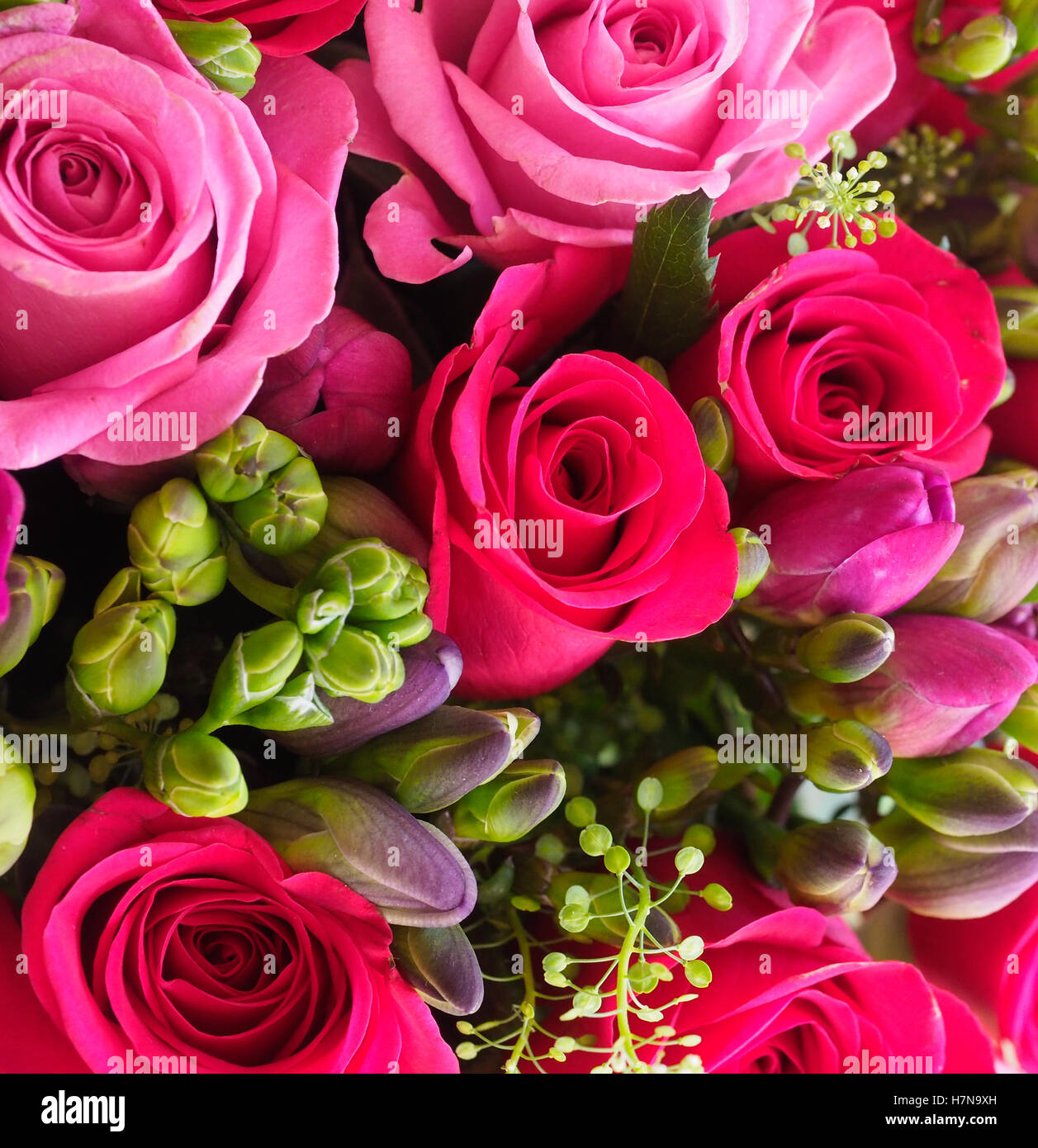 Shot from above hi-res stock photography and images - Alamy