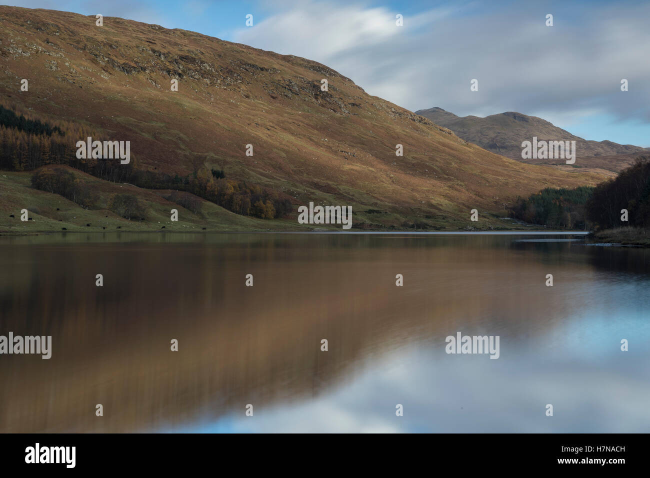 Reflections of trees at Loch Lubhair, Scotland in Autumn Stock Photo ...