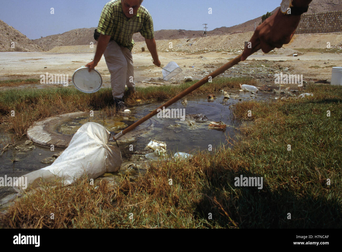 Herpetologist Ted Papenfuss collects endemic fish living in sulphurous ...