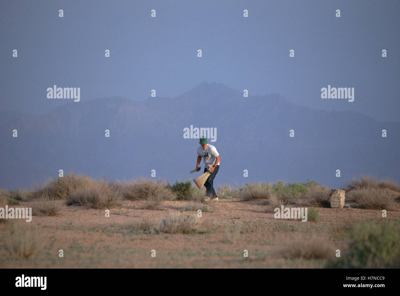 Researcher Jim Patton lays down traps to collect rodents in desert ...