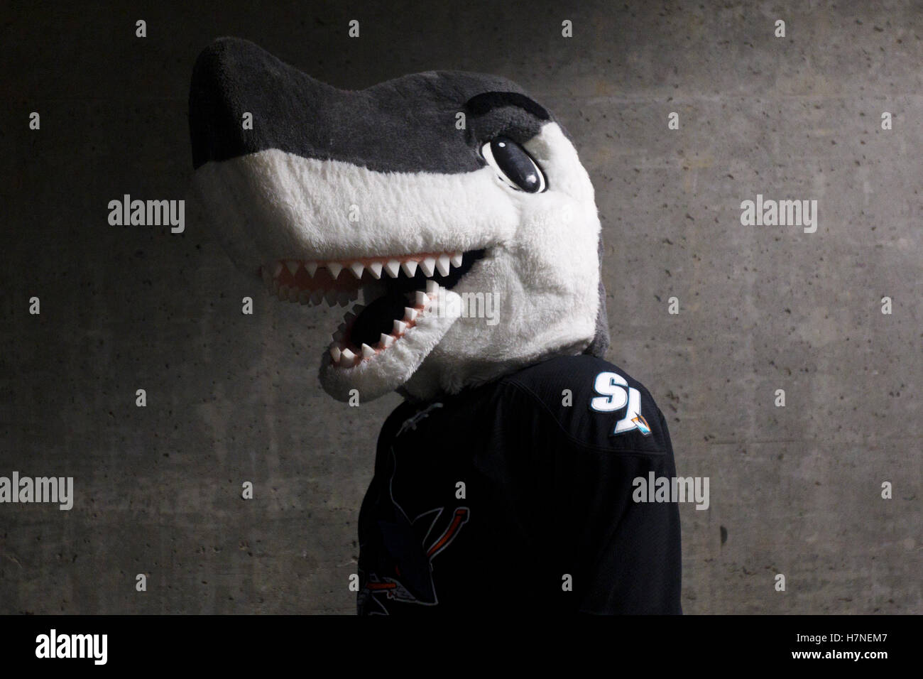 Sharks mascot hi-res stock photography and images - Alamy