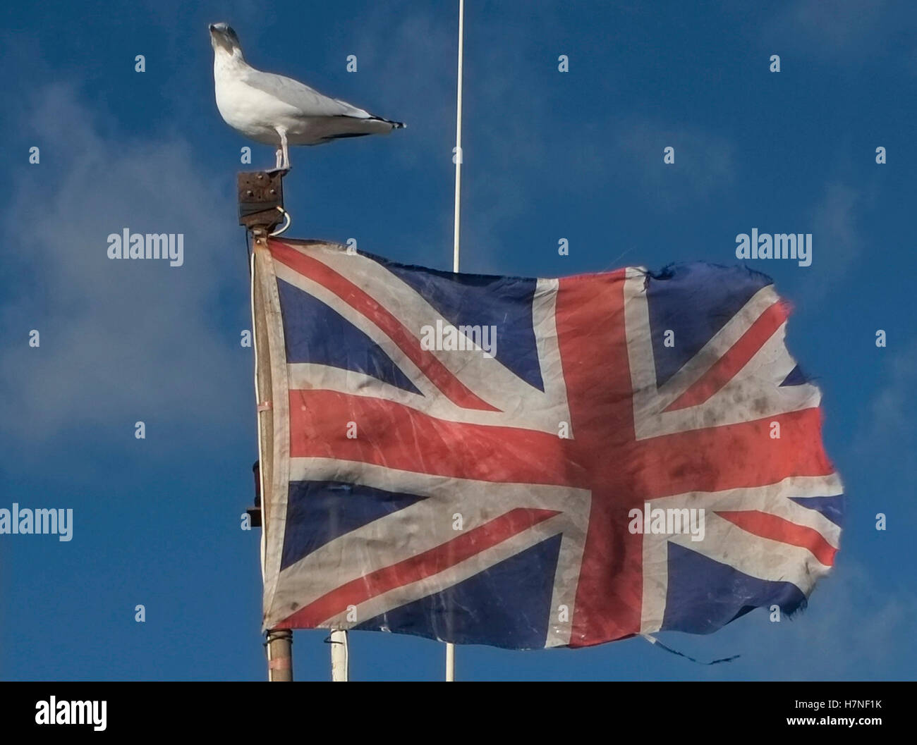 Boat Britain Flag High Resolution Stock Photography and Images - Alamy
