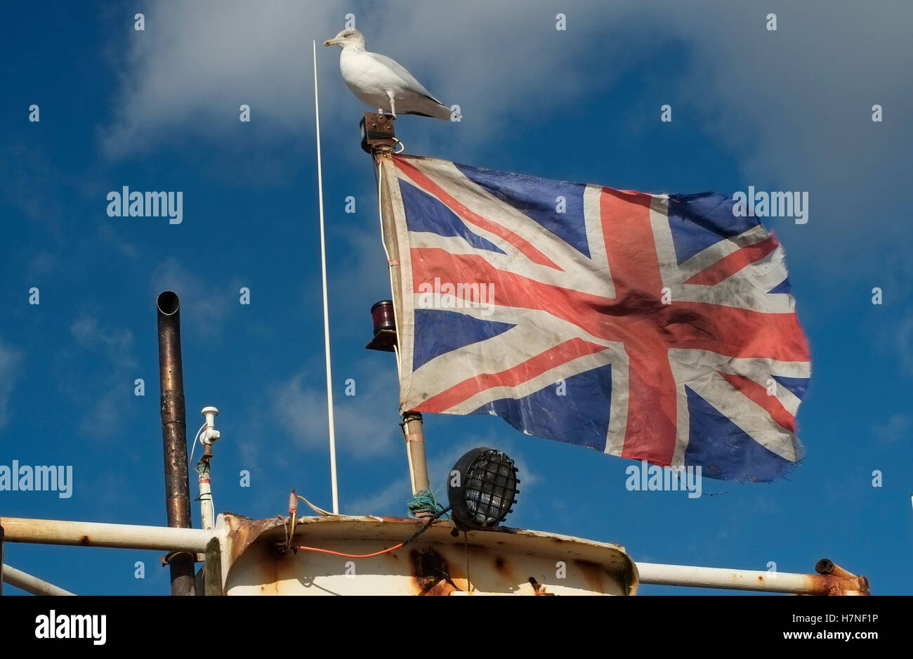 Seagull Fishing Boat Beach High Resolution Stock Photography and Images ...