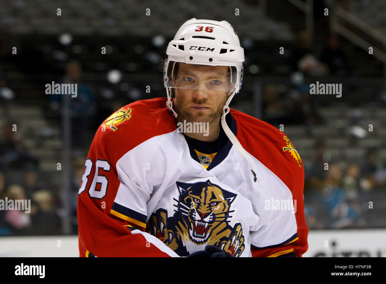 Mark cullen hi-res stock photography and images - Alamy