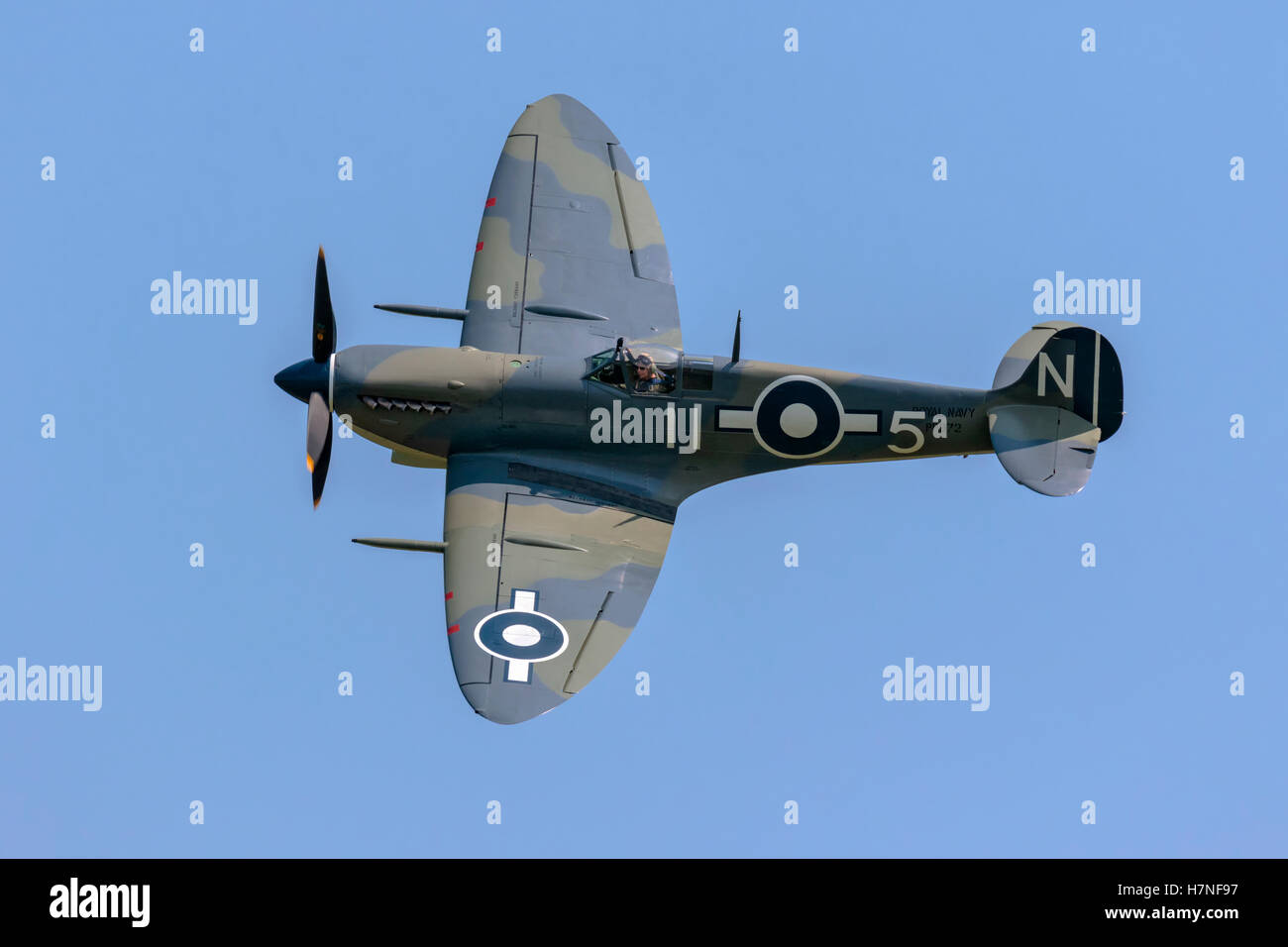 Supermarine seafire hi-res stock photography and images - Alamy