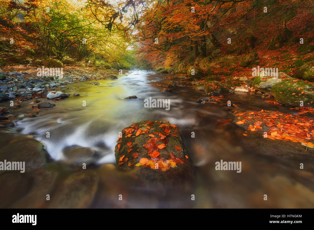 Irati river spain hi-res stock photography and images - Alamy