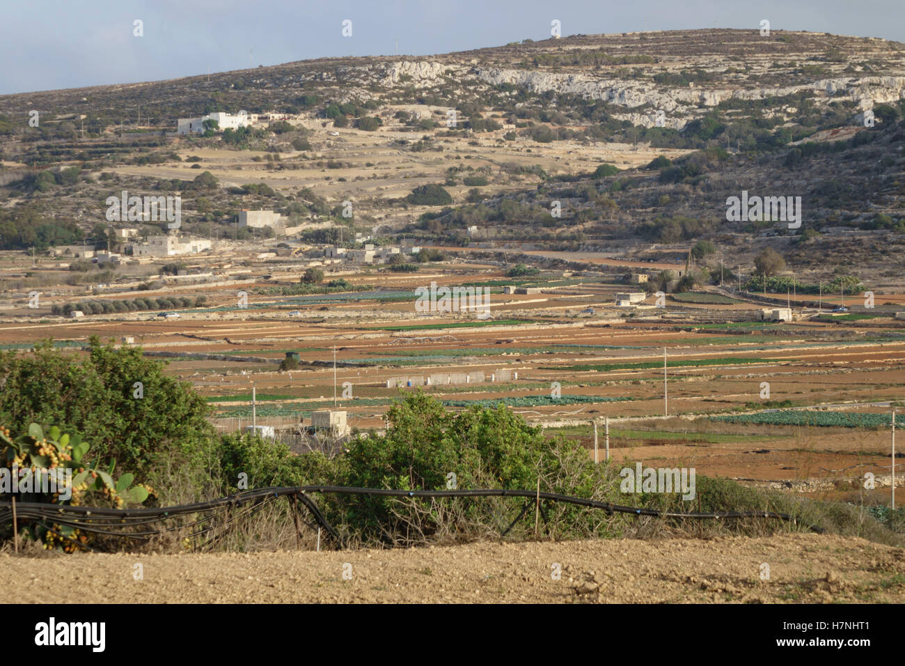 Farming in the northern 'waist' valley of Malta, Mellieha district ...