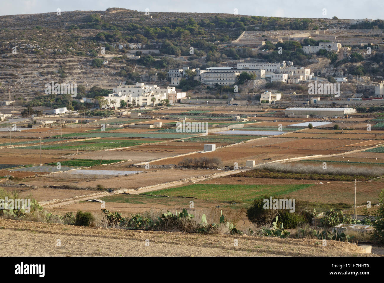 Farming in the northern 'waist' valley of Malta, Mellieha district ...