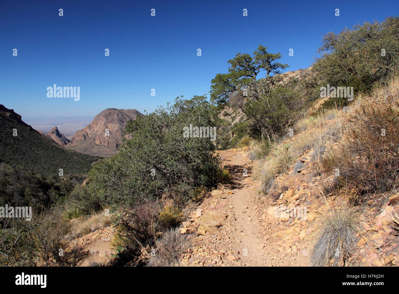 Lost Mine Trail in Big Bend National Park, Texas Stock Photo - Alamy