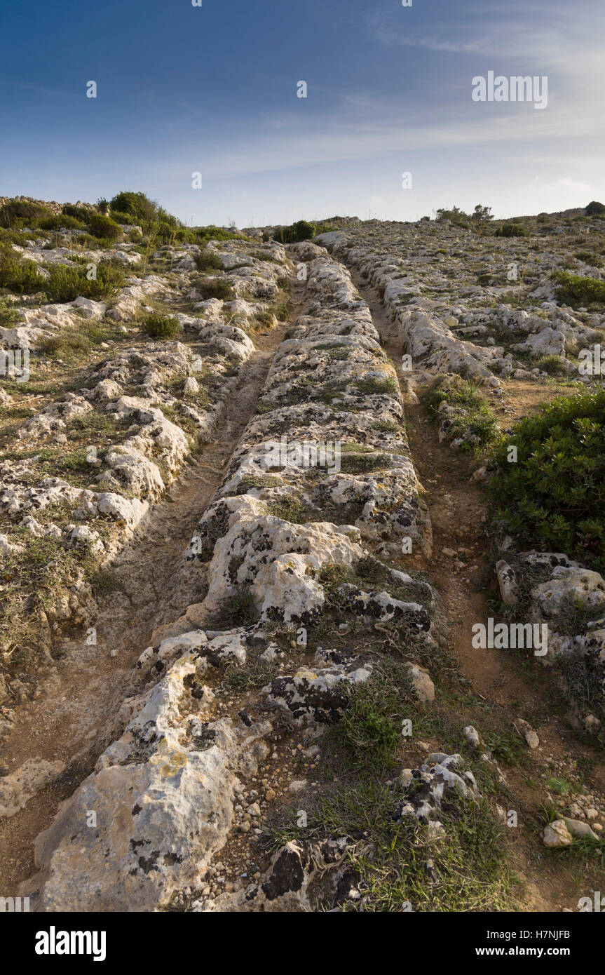 Malta cart-ruts at 'Clapham Junction', near Dingli, hundreds of ...