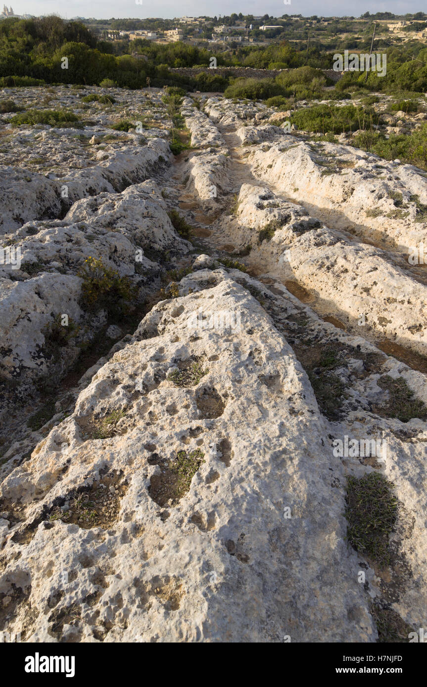 The mysterious cart ruts at clapham junction island of malta hi-res ...