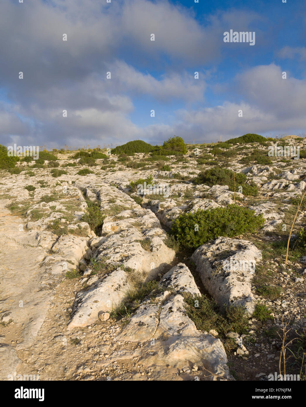 Malta cart-ruts at 'Clapham Junction', near Dingli, hundreds of ...