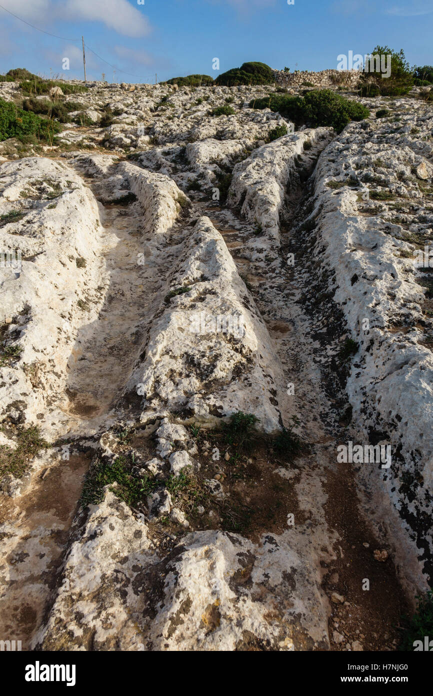 Malta cart-ruts at 'Clapham Junction', near Dingli, hundreds of ...