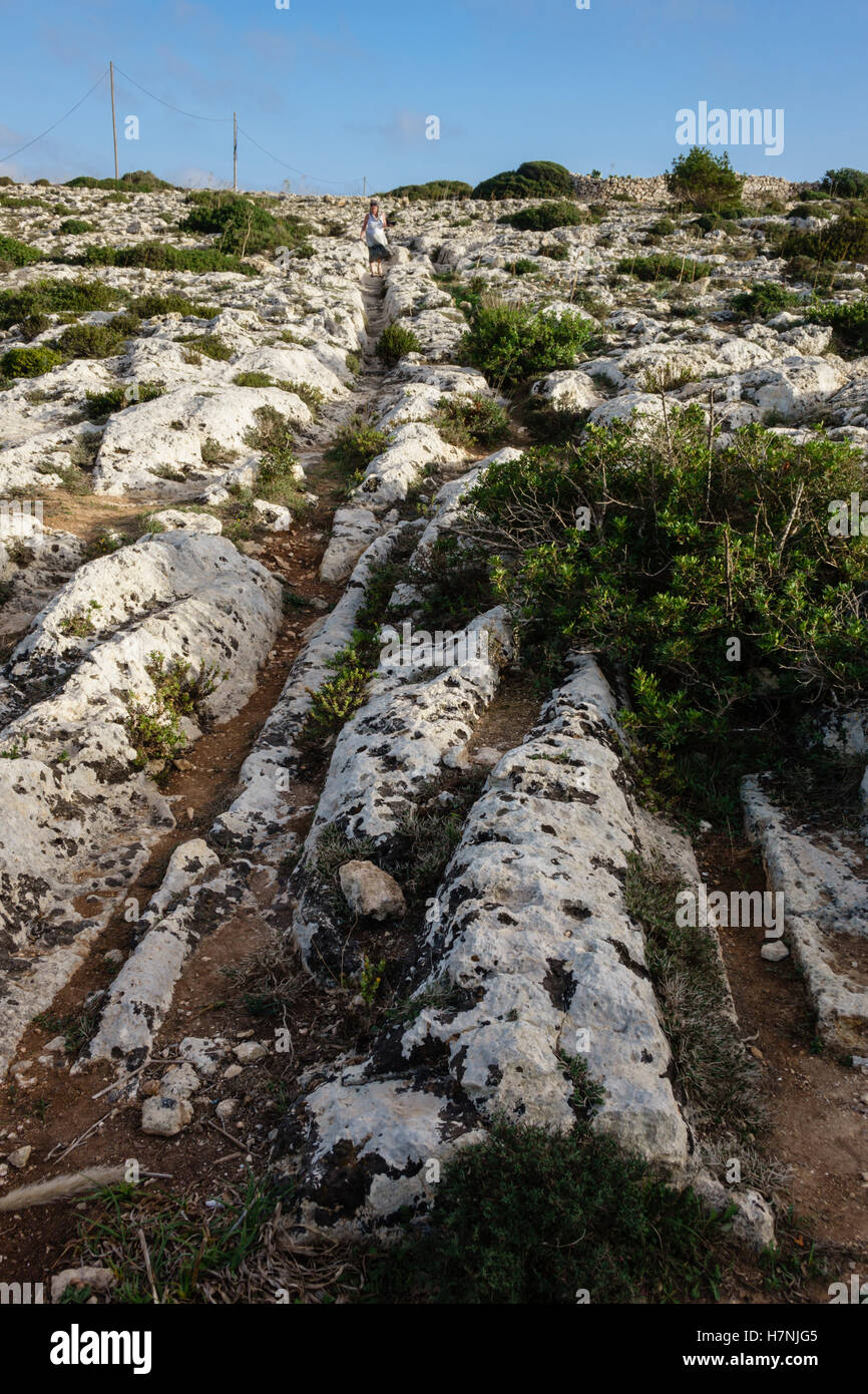 Malta cart-ruts at 'Clapham Junction', near Dingli, hundreds of ...