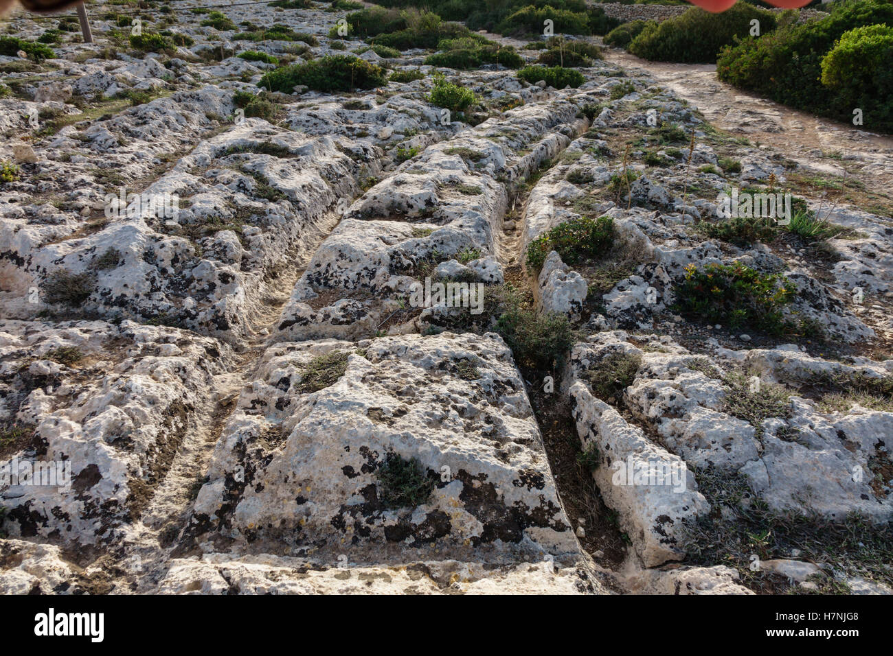 Malta cart-ruts at 'Clapham Junction', near Dingli, hundreds of ...
