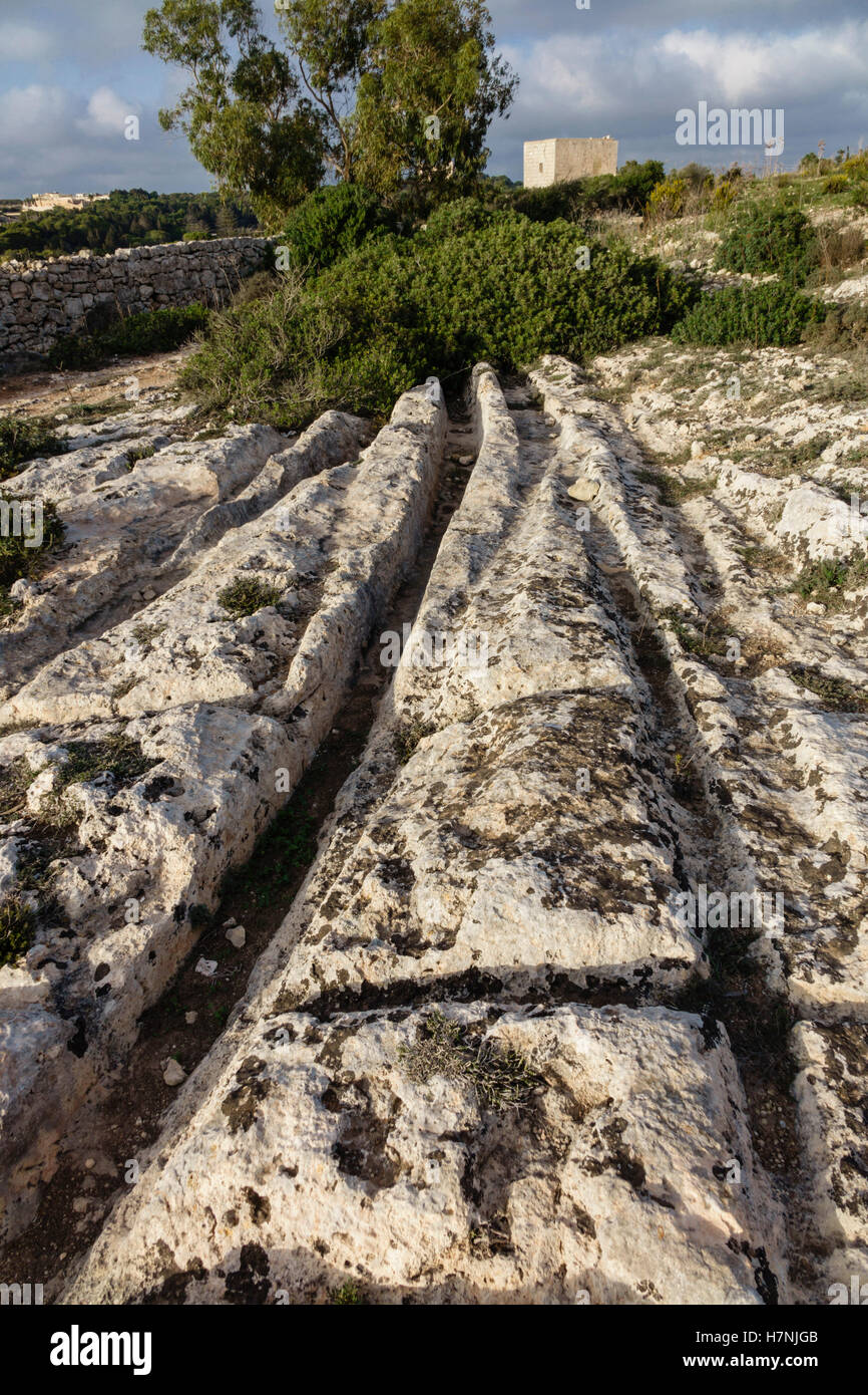 Malta cart-ruts at 'Clapham Junction', near Dingli, hundreds of ...