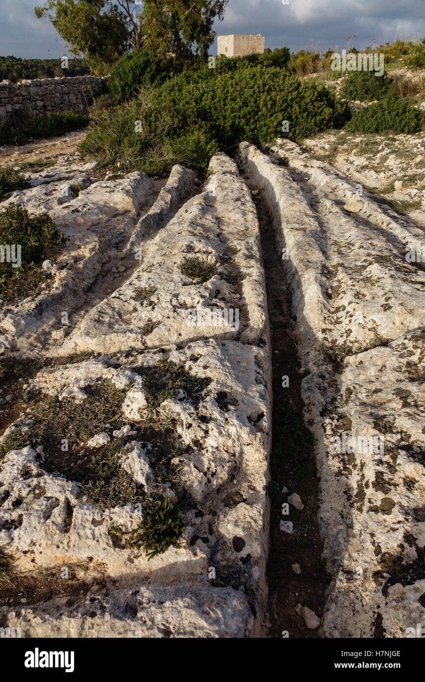 Malta cart-ruts at 'Clapham Junction', near Dingli, hundreds of ...