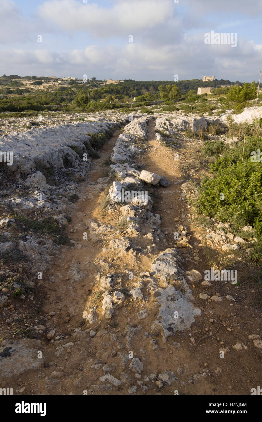 Malta cart-ruts at 'Clapham Junction', near Dingli, hundreds of ...
