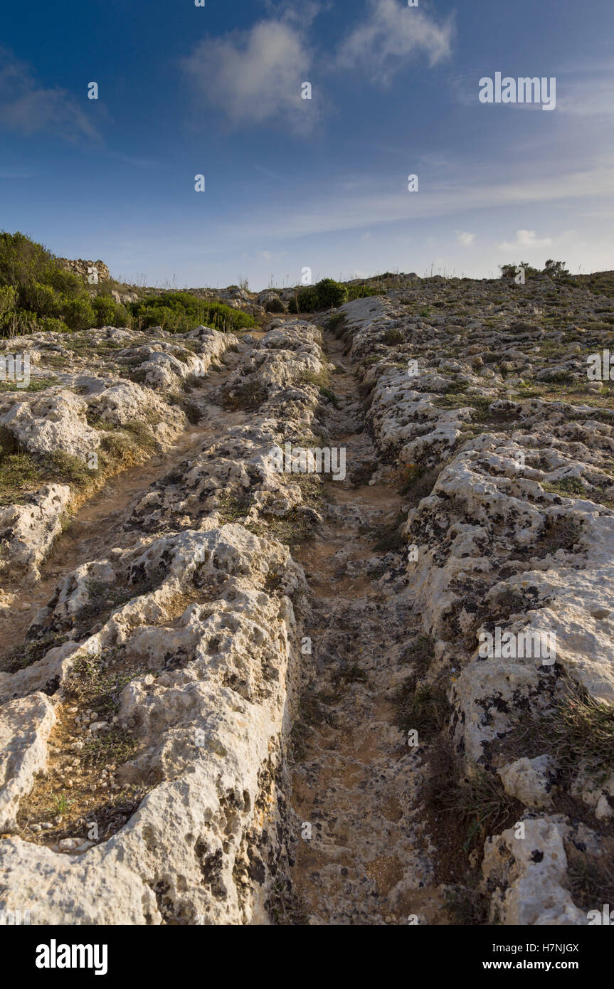 Malta cart-ruts at 'Clapham Junction', near Dingli, hundreds of ...