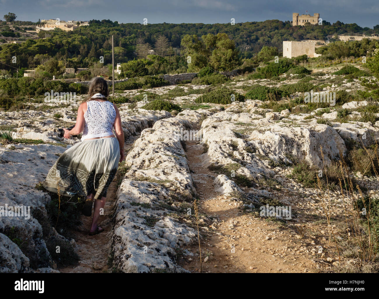 Malta cart-ruts at 'Clapham Junction', near Dingli, hundreds of ...