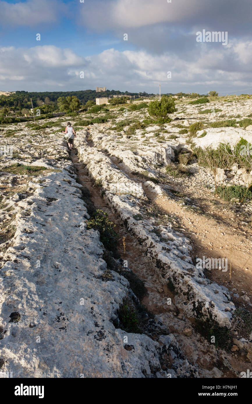 Malta cart-ruts at 'Clapham Junction', near Dingli, hundreds of ...