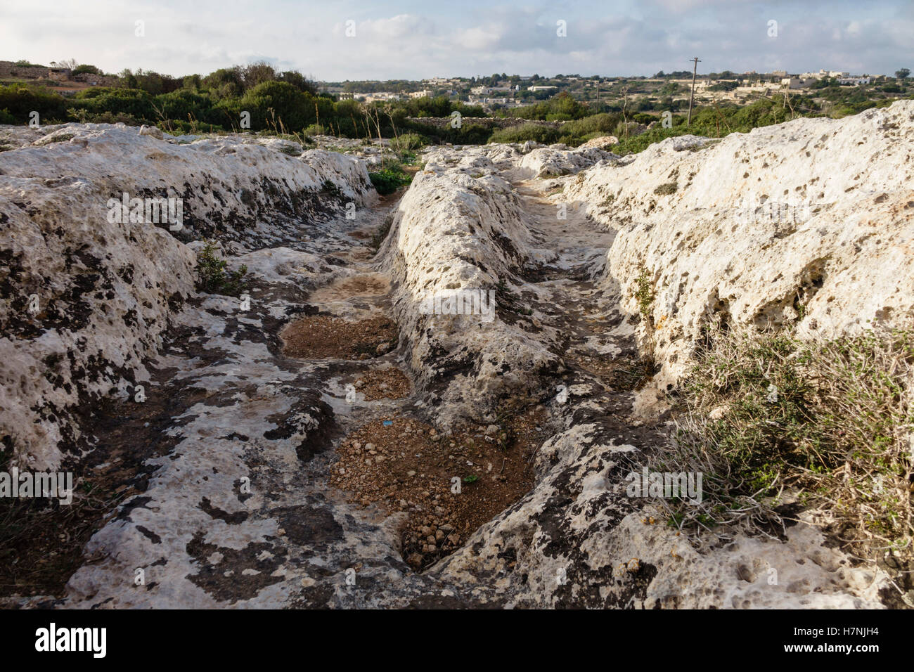 Malta cart-ruts at 'Clapham Junction', near Dingli, hundreds of ...