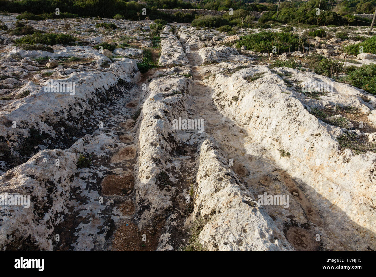 Malta cart-ruts at 'Clapham Junction', near Dingli, hundreds of ...