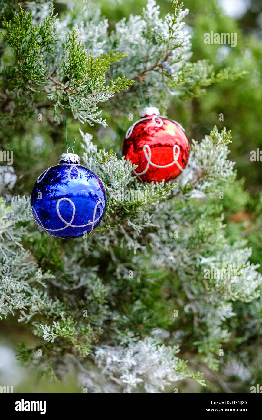 Christmas red balls evergreen hi-res stock photography and images - Alamy