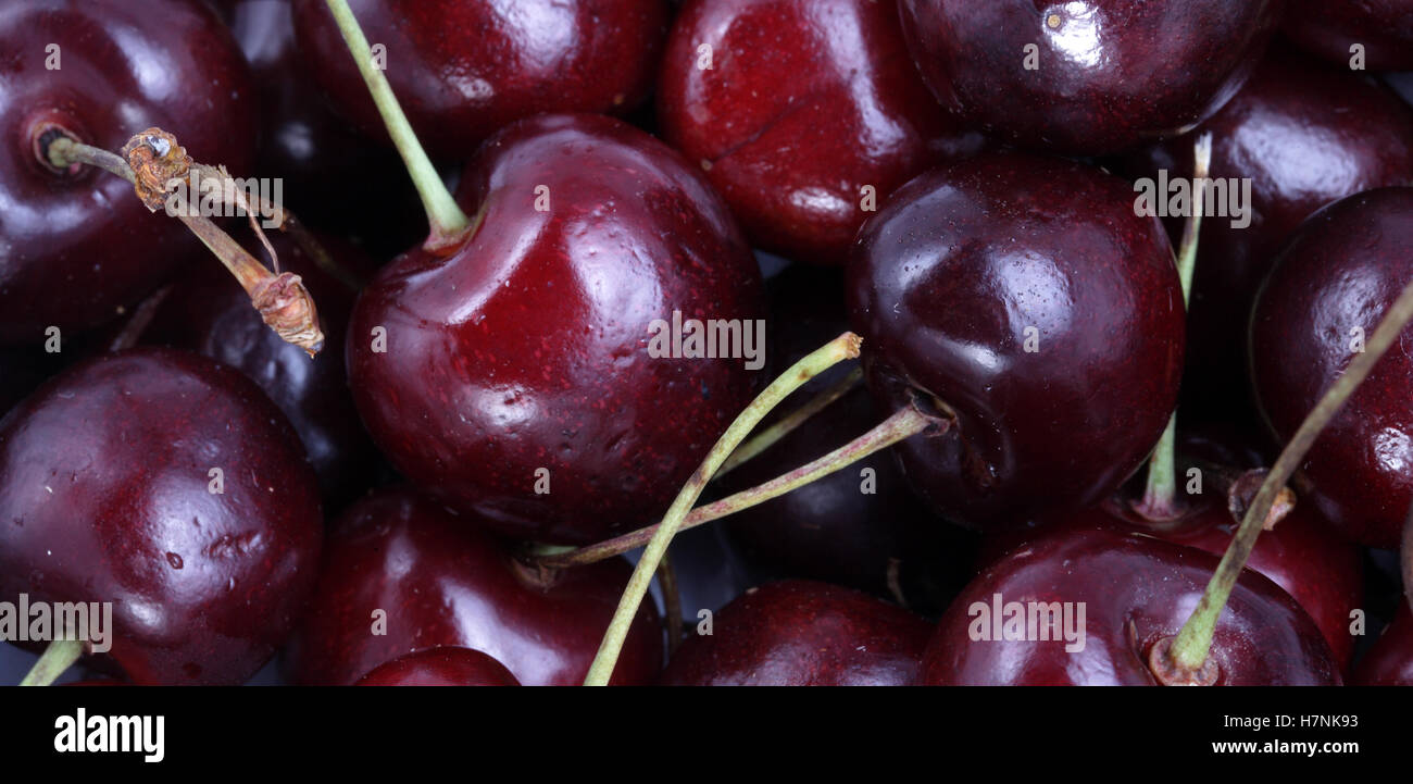 many sweet cherry at day Stock Photo - Alamy