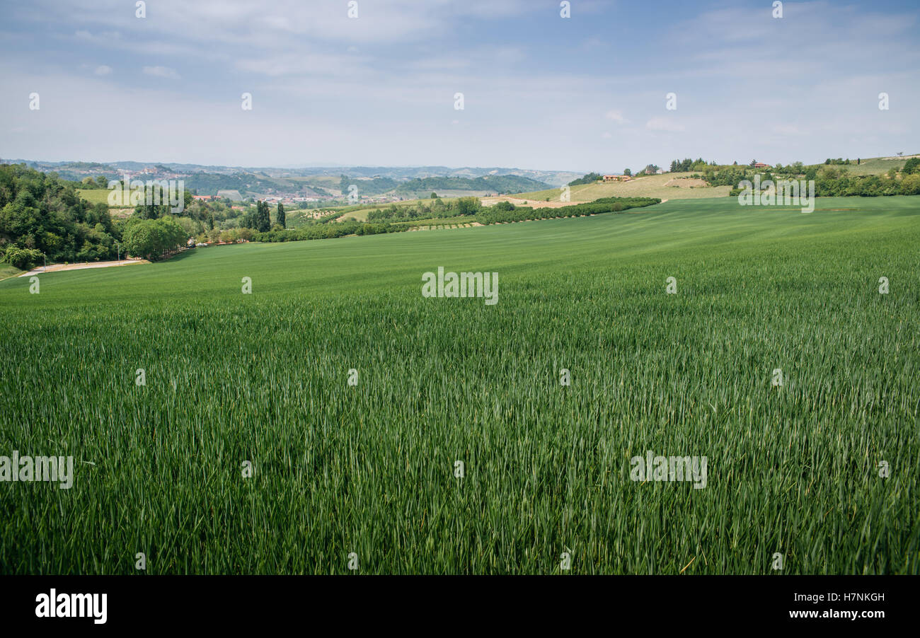 Smooth grass hi-res stock photography and images - Alamy