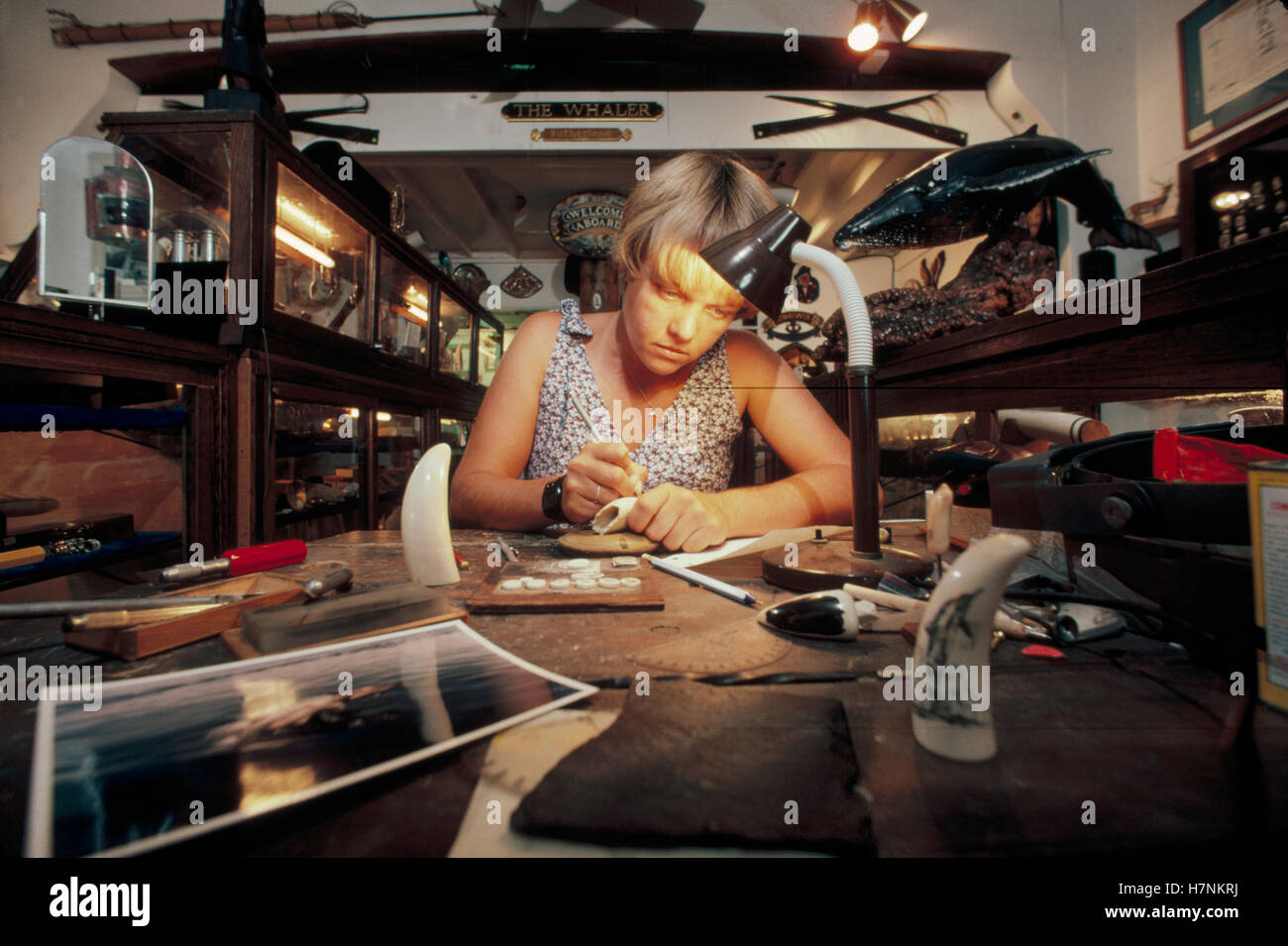 Sperm Whale (Physeter macrocephalus) researcher with scrimshaws, Hawaii ...