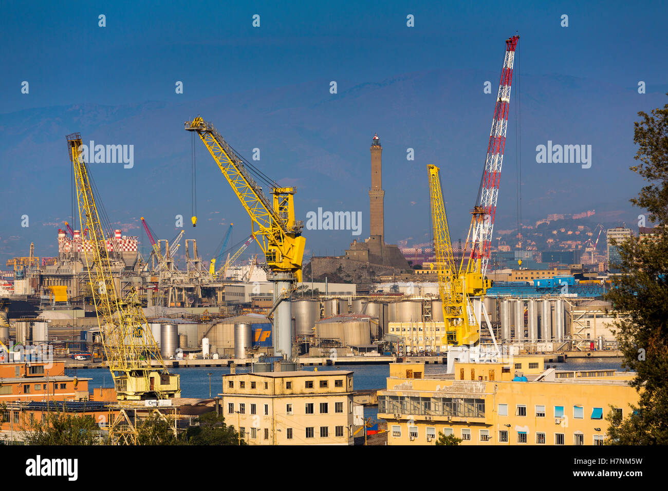 The harbour and La Lanterna the Lighthouse of the city of Genoa ...