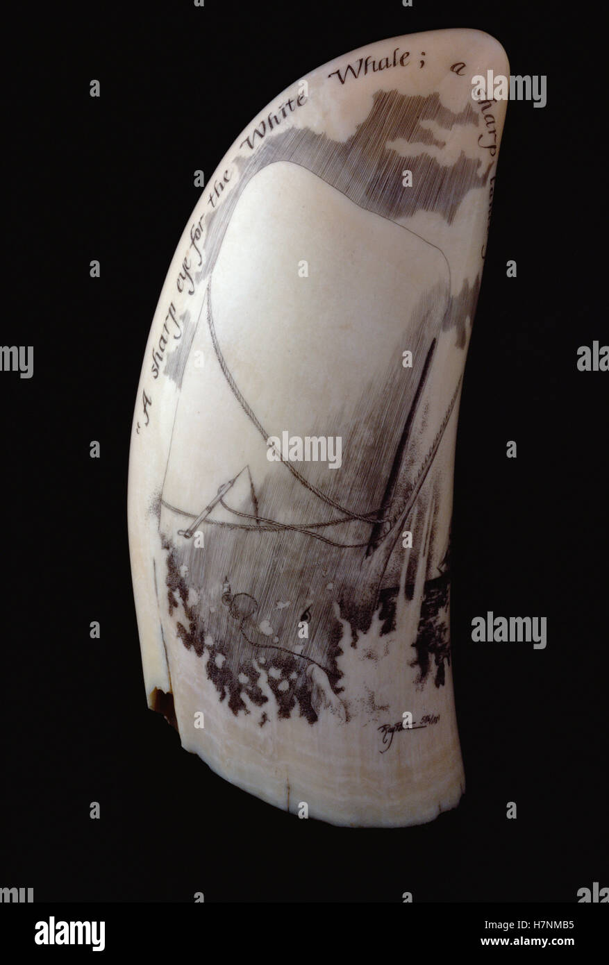 Scrimshaw with inscription reading, A sharp eye for the white whale ...