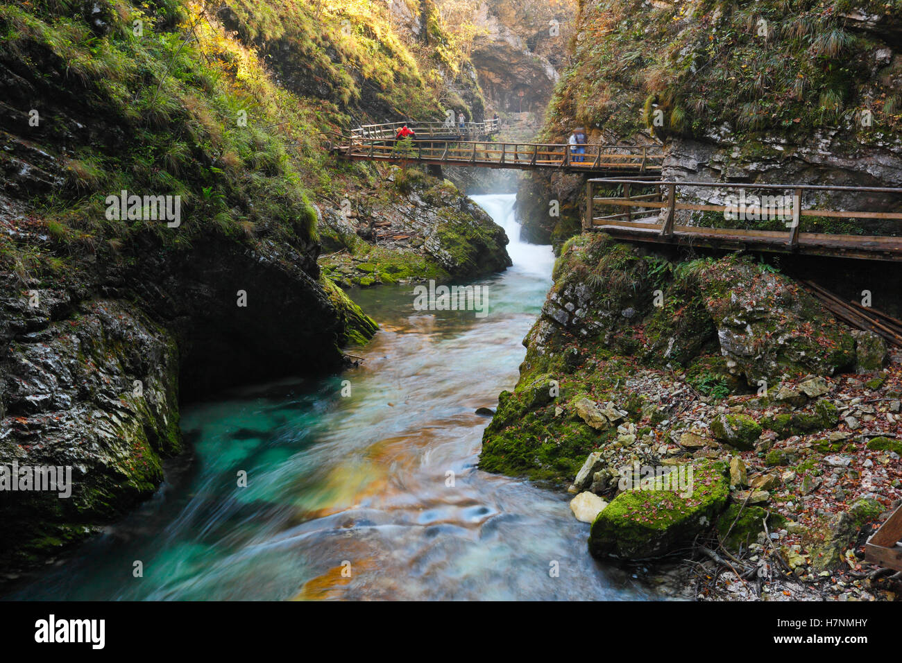 Vintgar National Park High Resolution Stock Photography and Images - Alamy