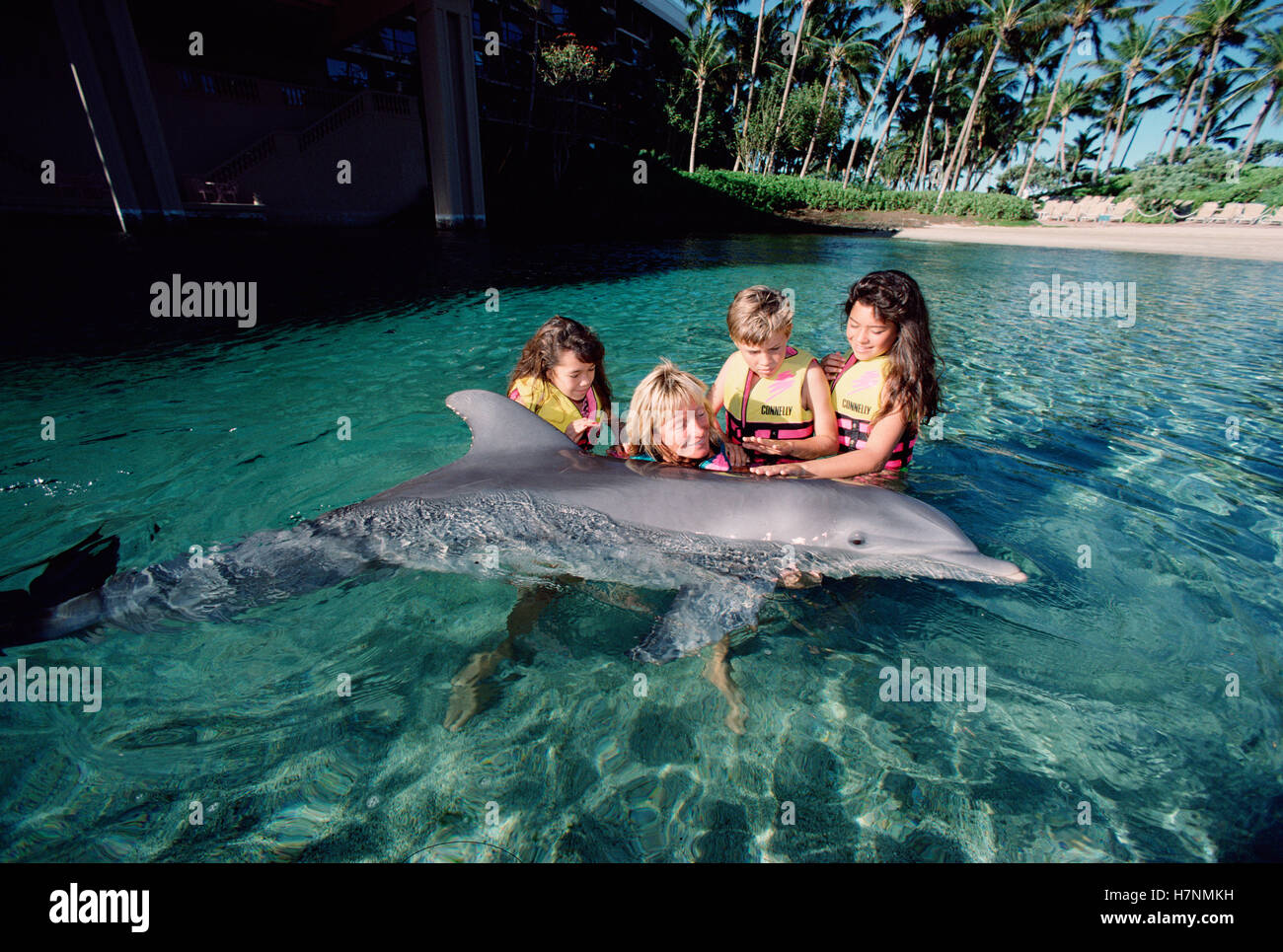 Bottlenose Dolphin (Tursiops truncatus) interacting with children ...