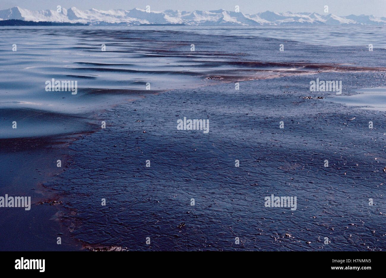 Exxon Valdez oil spill, Prince William Sound, Alaska Stock Photo - Alamy