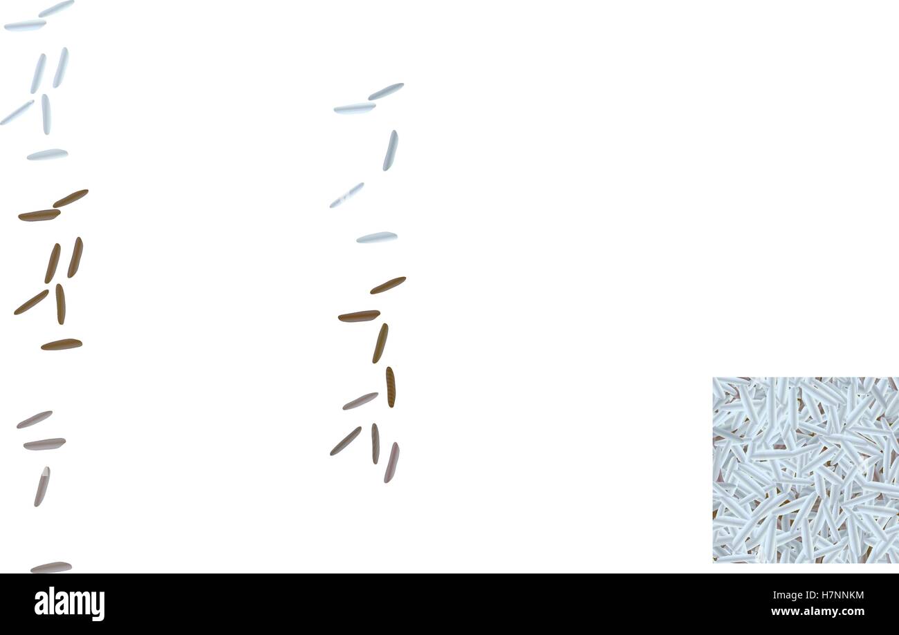 White rice realistic seamless pattern vector illustration background ...