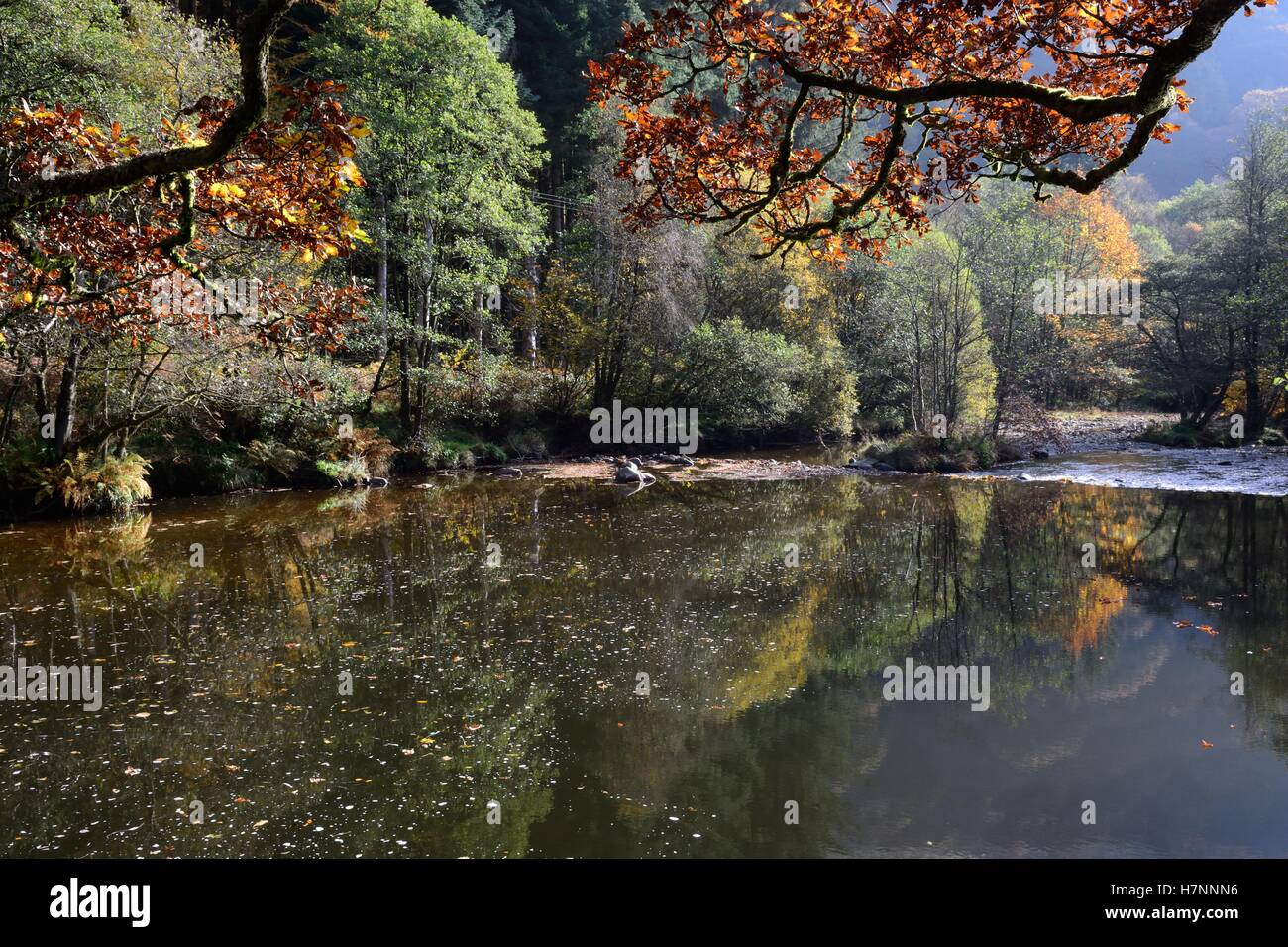 Washpool Irfon River in autumn Llanwrtyd Wells Powys Wales Stock Photo ...