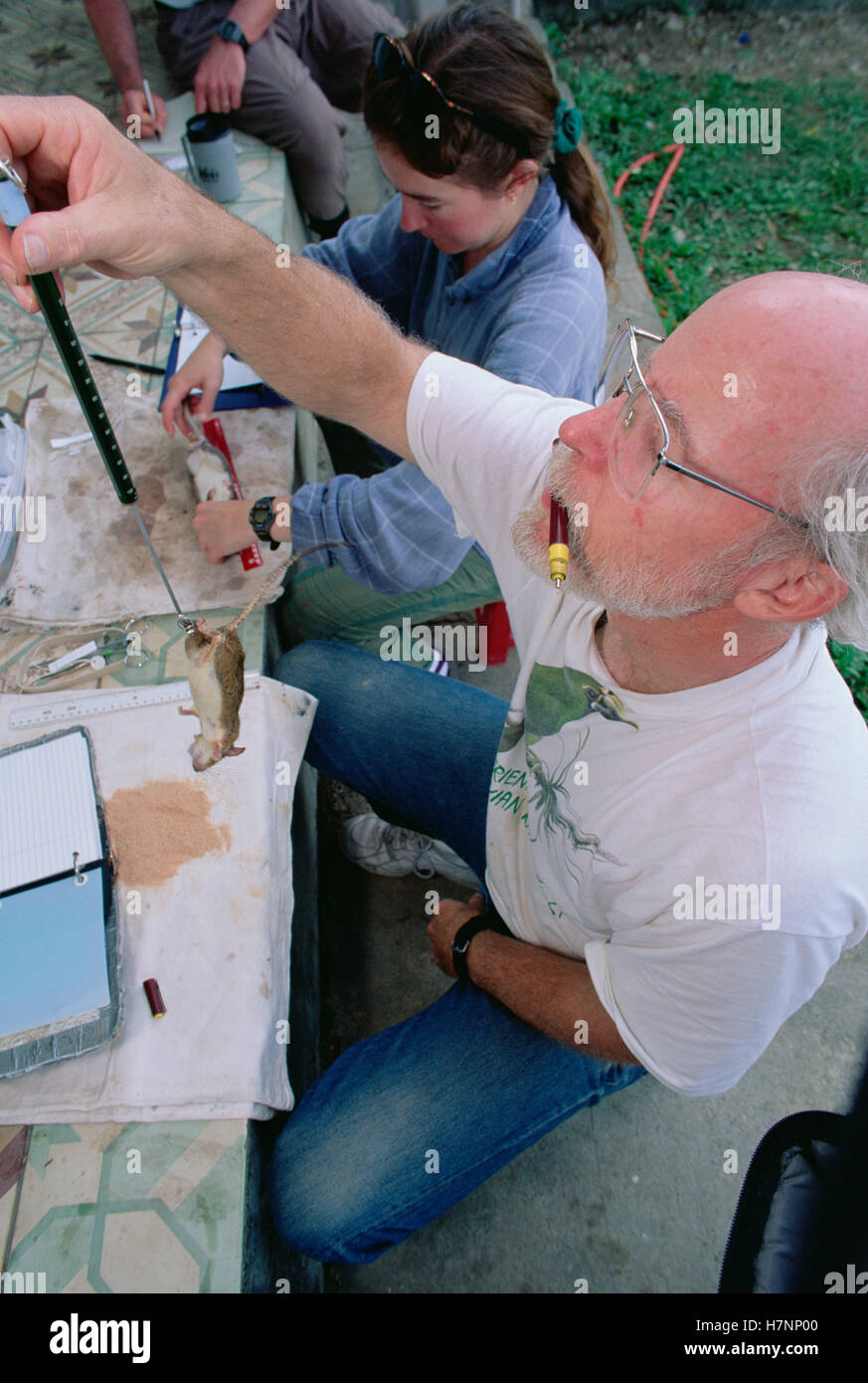 James Patton measuring rodent specimens, Tam Dao National Park, Vietnam ...