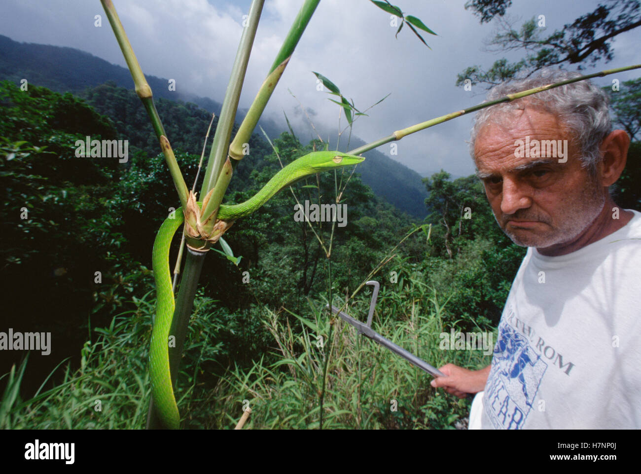 Vine Snake and herpetologist Ted Papenfuss, Tam Dao National Park ...