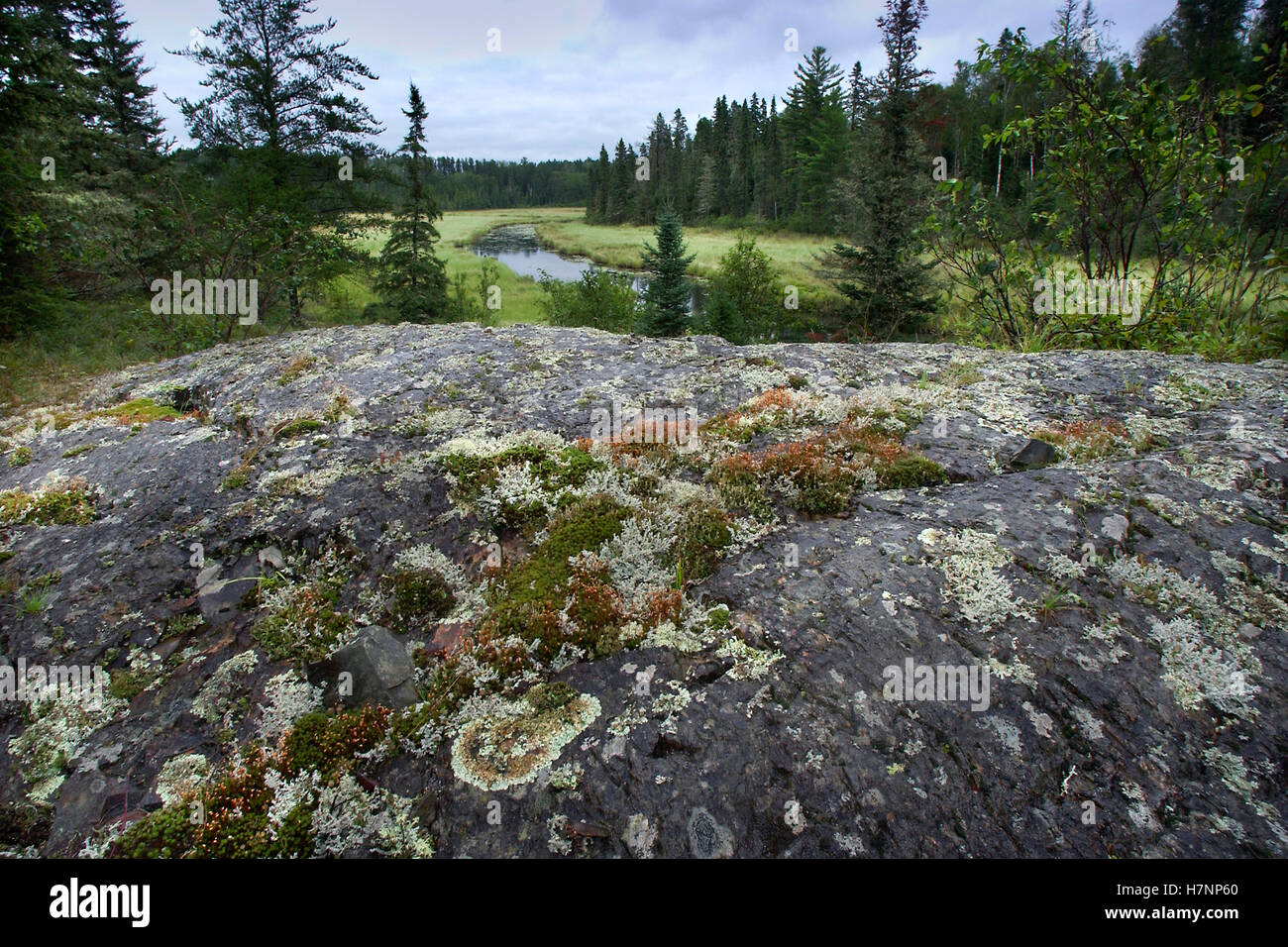 Beaver Valley, Northwoods, Minnesota Stock Photo - Alamy