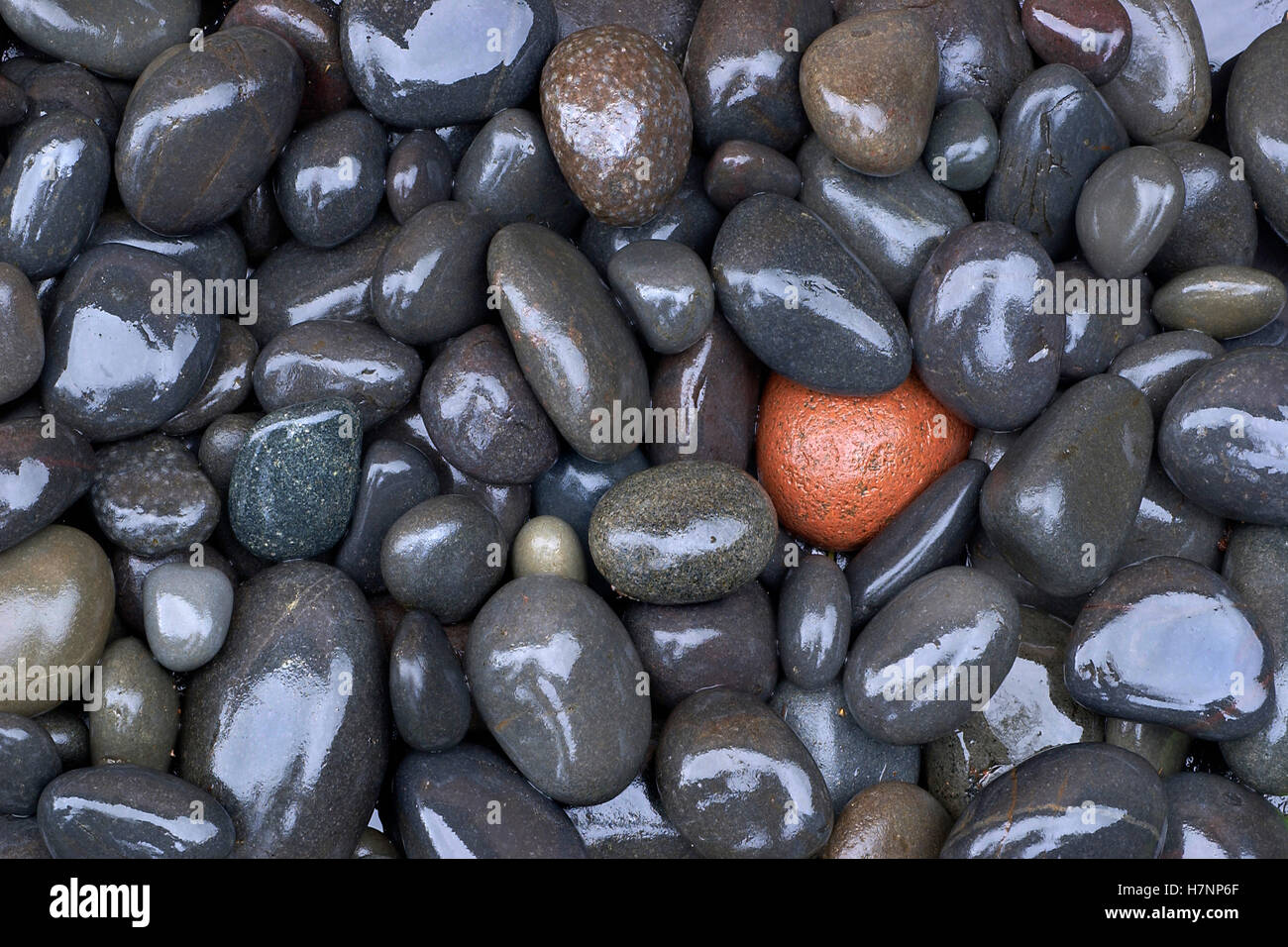 Wet rocks, Northwoods, Minnesota Stock Photo - Alamy