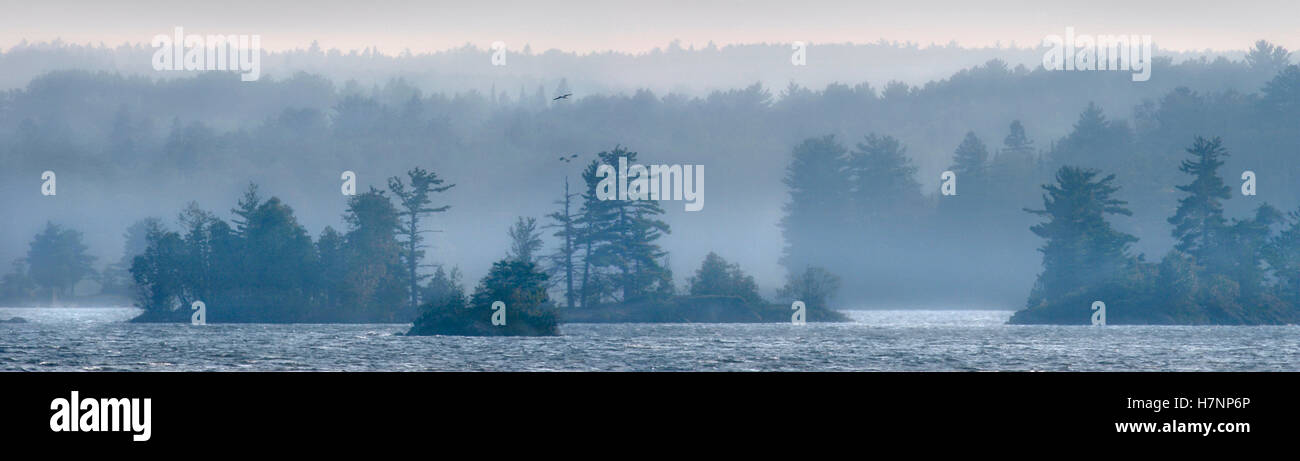 Islands of Shagawa Lake, Boundary Waters Canoe Area Wilderness ...