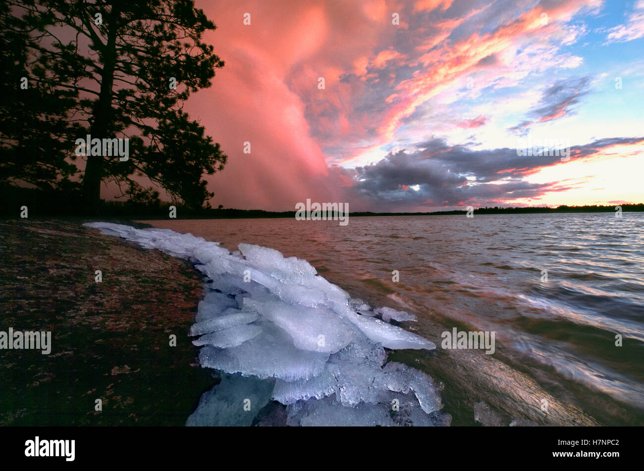 Ice along the shore of Burntside Lake at sunset, Superior National ...