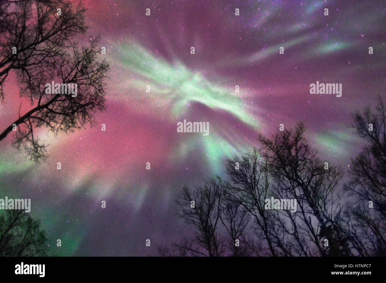 Aurora borealis, Northwoods, Minnesota Stock Photo - Alamy