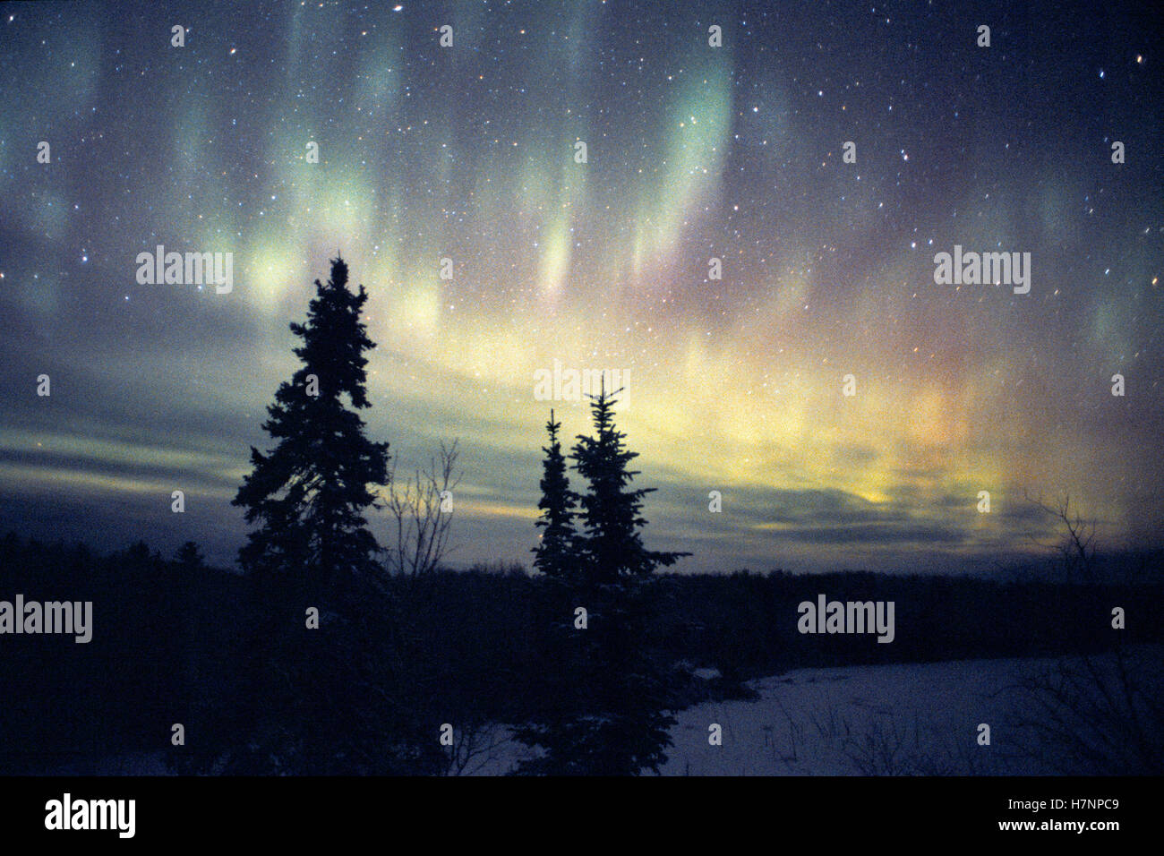 Aurora borealis, Northwoods, Minnesota Stock Photo - Alamy