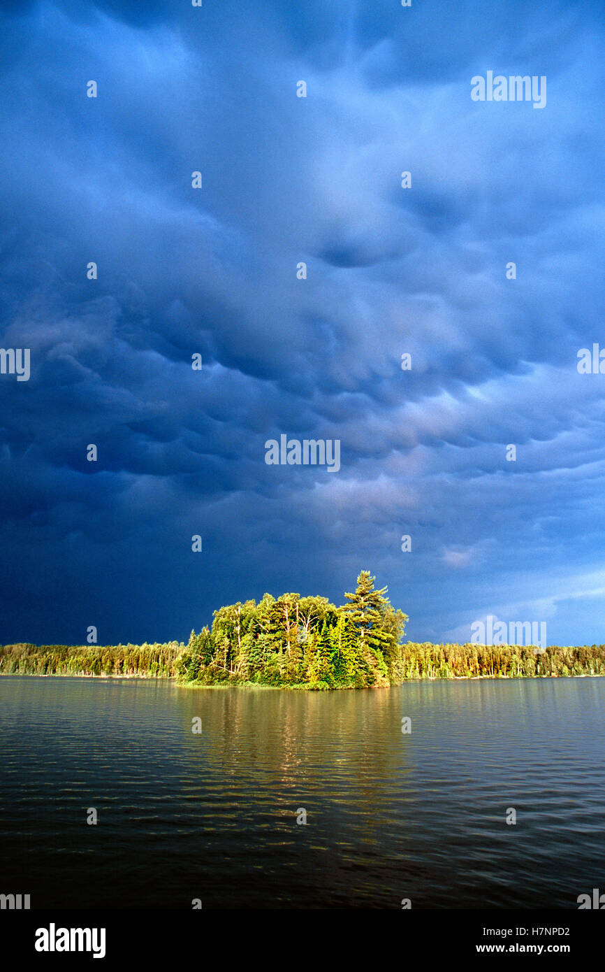 Trees along lakeshore illuminated by sunlight, Minnesota Stock Photo ...