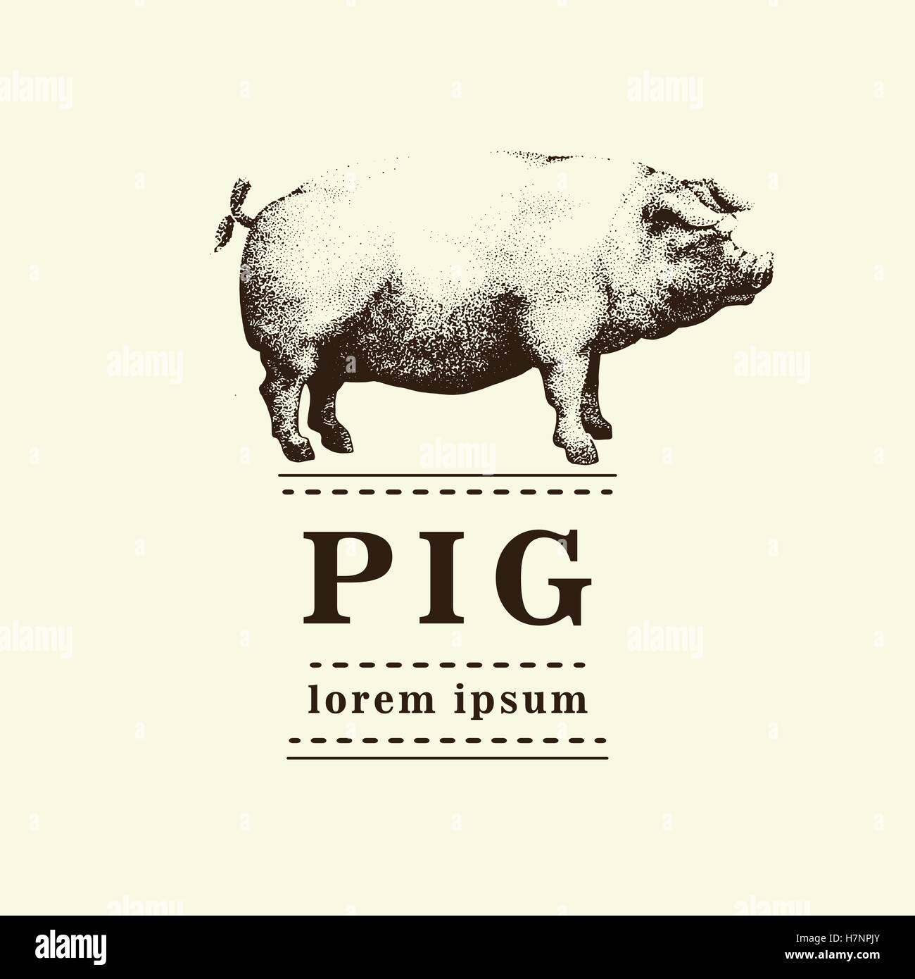 Vector illustration of pig in graphic style, hand drawing illustration ...
